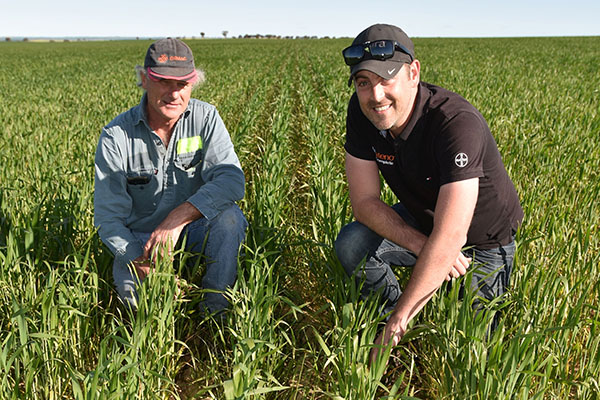 Trials show versatile new broadleaf herbicide a strong rotation option