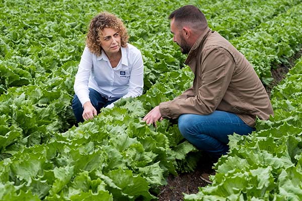 Better agronomic, business and environmental outcomes