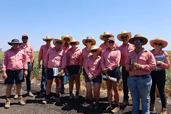 Queensland field day sparks fresh insights and collaboration