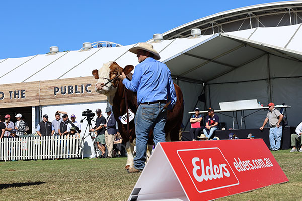 Younger generation leads the way at the Sydney Royal Easter Show