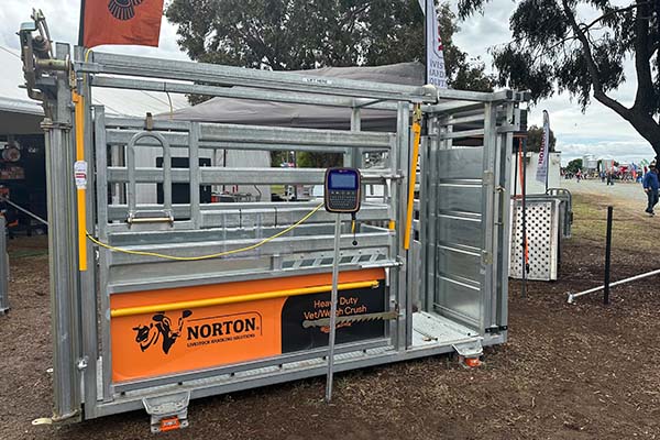 Norton by Gallagher integrated cattle weighing solution