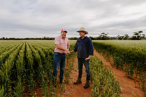 Elders named as the most trusted Australian agribusiness brand
