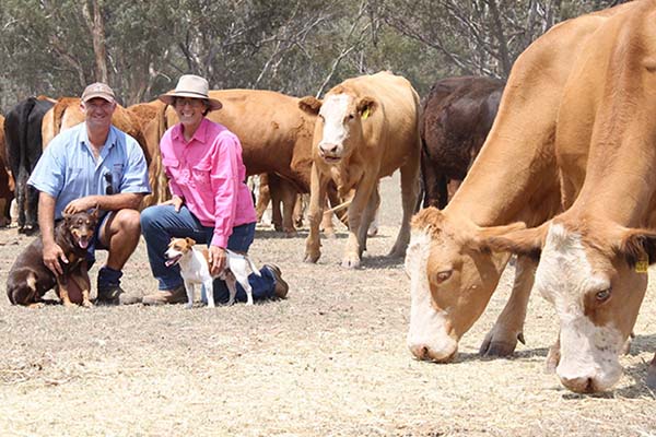 Multimin Evolution a local success story