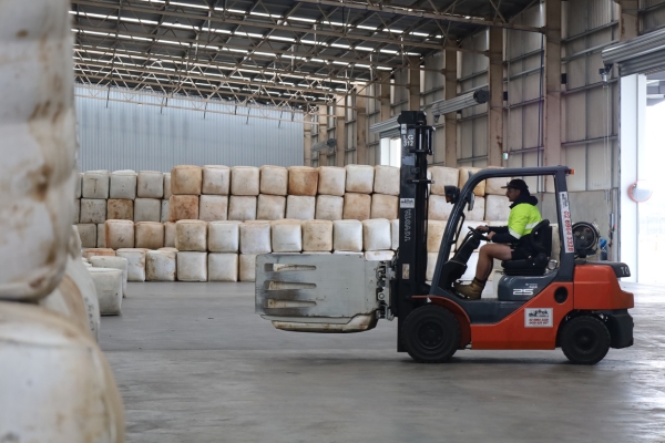 Wool handling operations commence in Rockingham