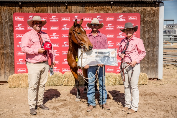 Record results at AG-Grow Elite Bull and Horse Sales