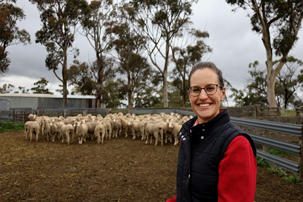 Prepare your sheep for joining