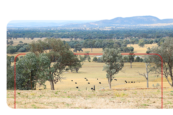 Rural Property Update