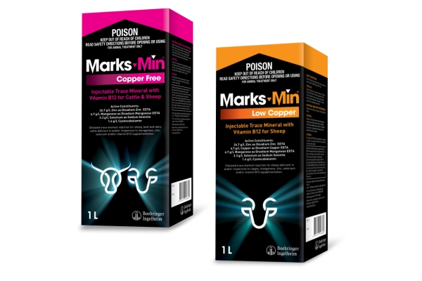 Capitalising on sheep management and feed with mineral support