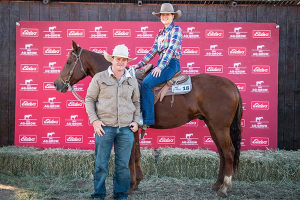Standout results at 2025 Elders Ag-Grow Elite Bull and Horse Sales
