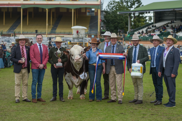 Elders continues support of Ekka Beef Week