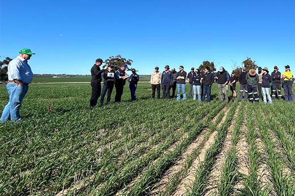 Research into best grass herbicide strategies a boon for growers